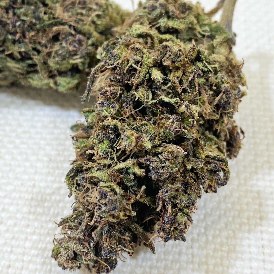 WNY CBD Hemp Flower | Bison Botanics