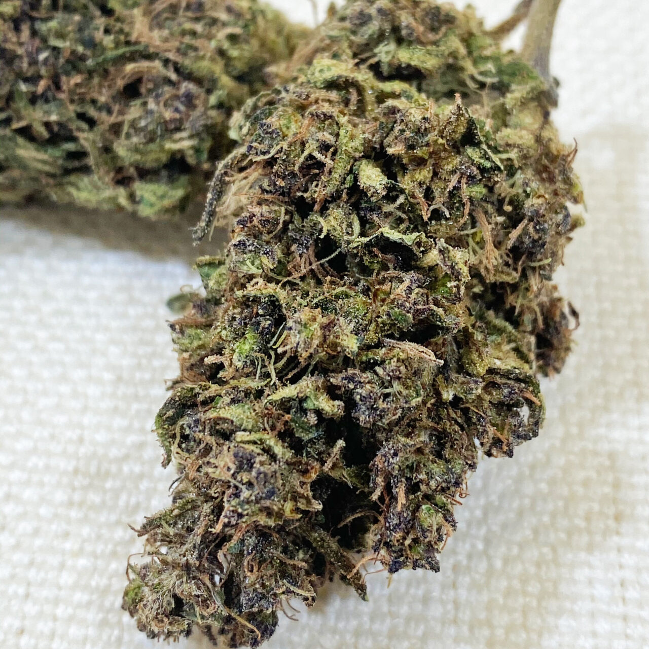 WNY CBD Hemp Flower | Bison Botanics